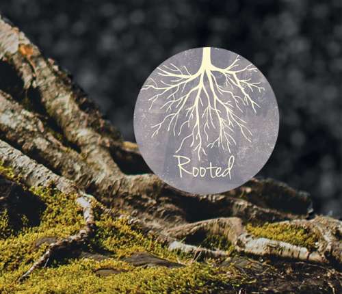 Rooted | Scripture Union